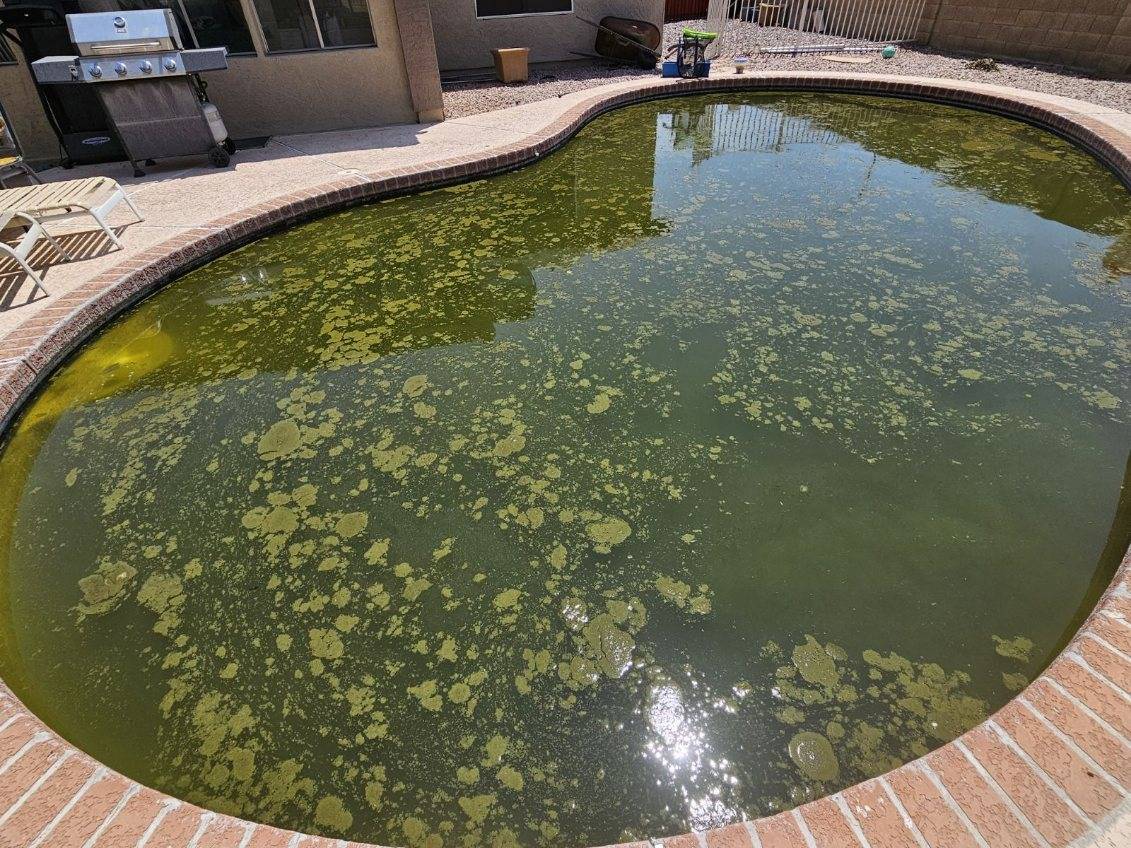 Swim n Chill | Pool Service and Repair